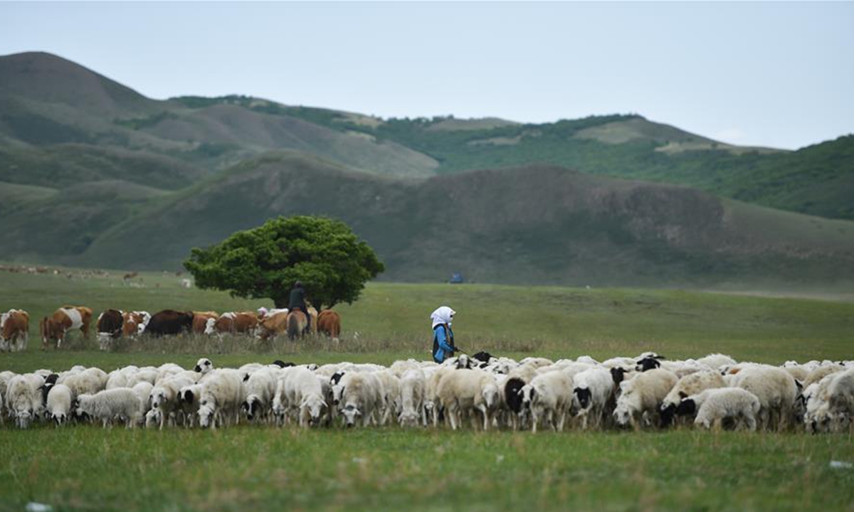 View of Ar Horqin grassland in Chifeng, Inner Mongolia - Global Times