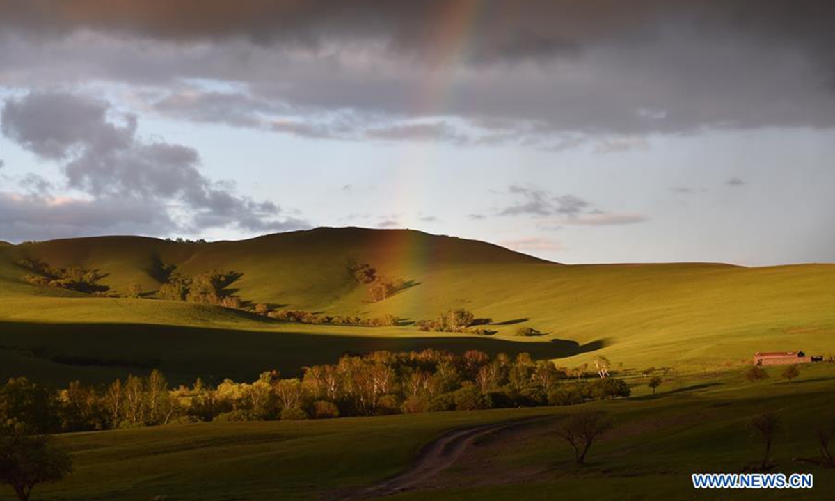 View of Ar Horqin grassland in Chifeng, Inner Mongolia - Global Times