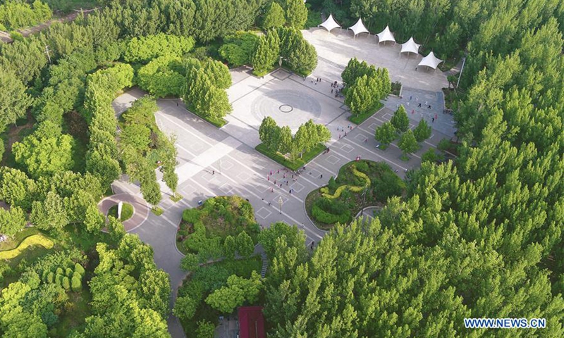 Wen'an in N China boasts forest coverage rate of 33% - Global Times