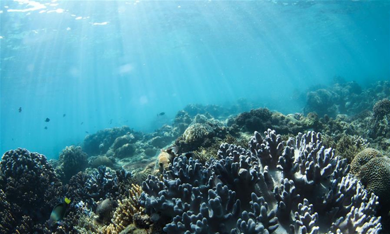 View of marine ranch in Sanya - Global Times