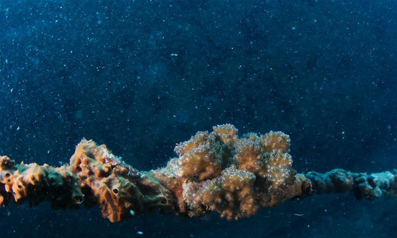 View of marine ranch in Sanya - Global Times