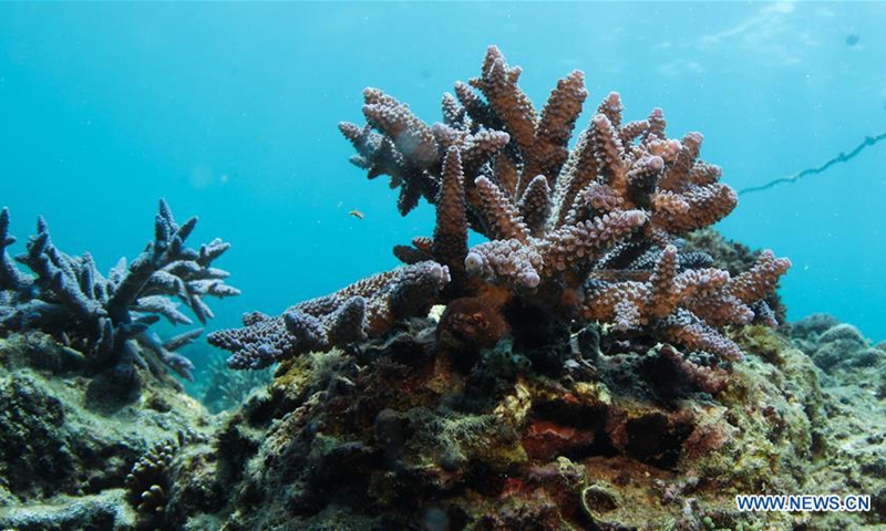 View of marine ranch in Sanya - Global Times