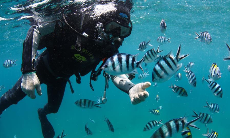 View of marine ranch in Sanya - Global Times