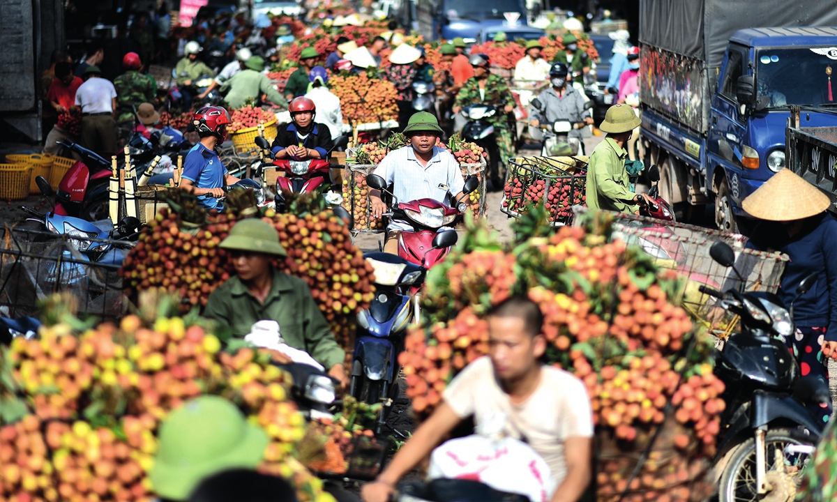 Sweet profits from Vietnam's lychee market - Global Times