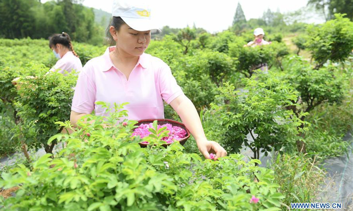 Cosmetics industry booms in Daixi Town, Zhejiang - Global Times