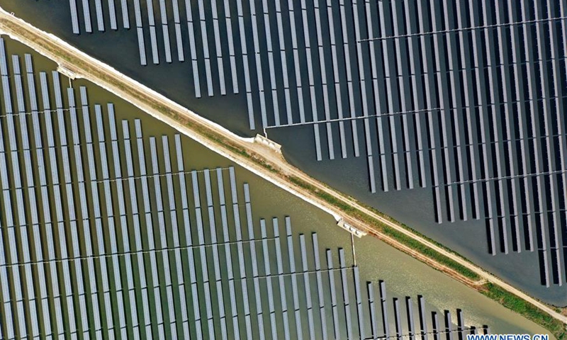 Modern fishery farm designed to raise fish, generate electricity in ...