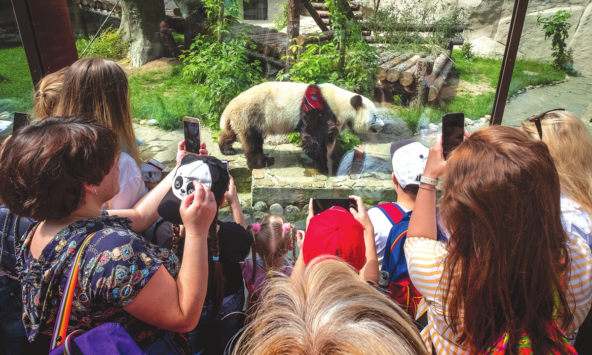 Panda fans gather to take the perfect picture - Global Times