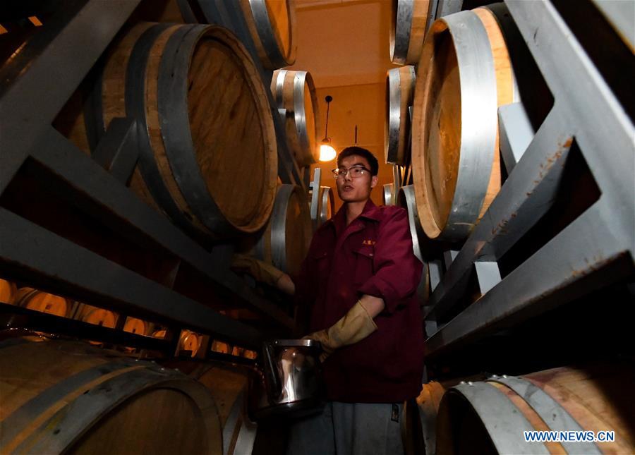 Vegetable planting, winemaking flourish in Xinjiang's county - Global Times