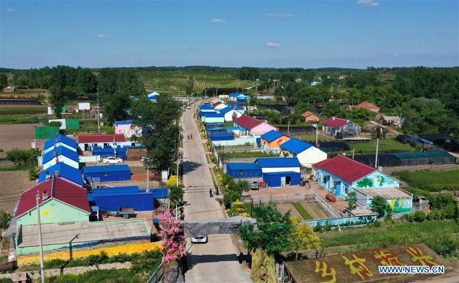 Village decorated with murals in Changchun, NE China - Global Times