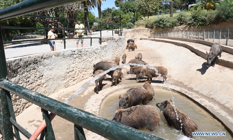 Belvedere Zoo in Tunis, Tunisia - Global Times