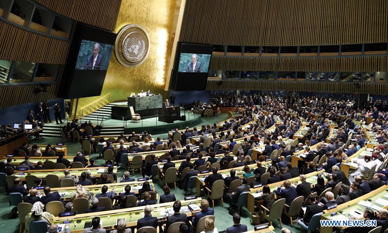 UNGA president-elect pledges to build consensus, trust among member ...