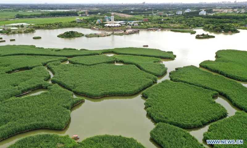Tourists visit Mingcui Lake National Wetland Park in Yinchuan, NW China ...