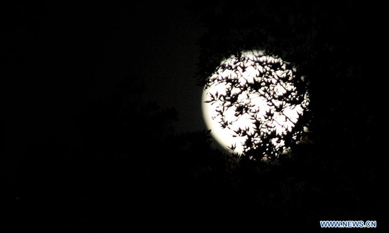 In pics: full moon in Kuwait City - Global Times