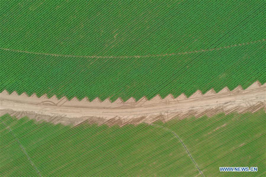 View of Saibei management district in Zhangjiakou - Global Times