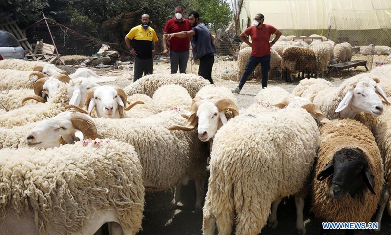 In pics: animal stall ahead of Eid al-Adha in Algiers, Algeria - Global ...