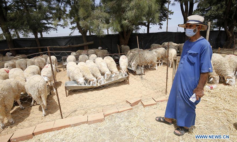 In pics: animal stall ahead of Eid al-Adha in Algiers, Algeria - Global ...