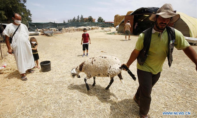 In pics: animal stall ahead of Eid al-Adha in Algiers, Algeria - Global ...