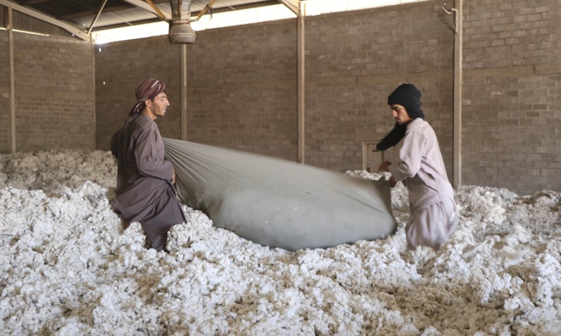 Reviving cotton-processing plant provides job opportunities in southern ...