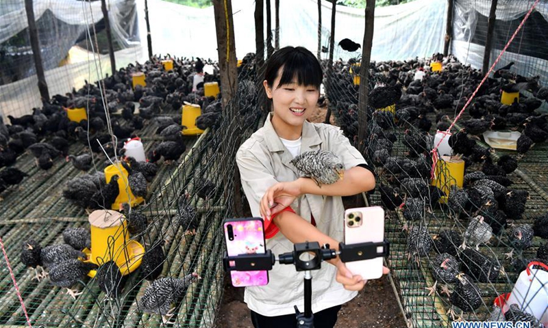 Online sales of agricultural products in Danfeng County of Shaanxi ...