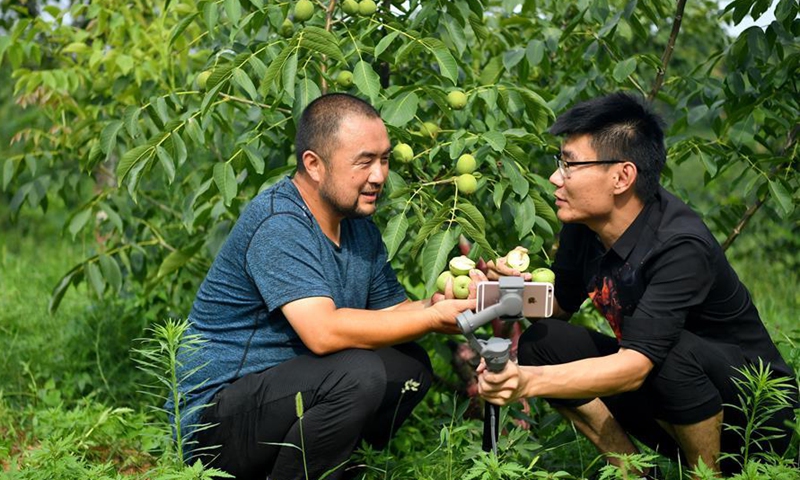 Online sales of agricultural products in Danfeng County of Shaanxi ...