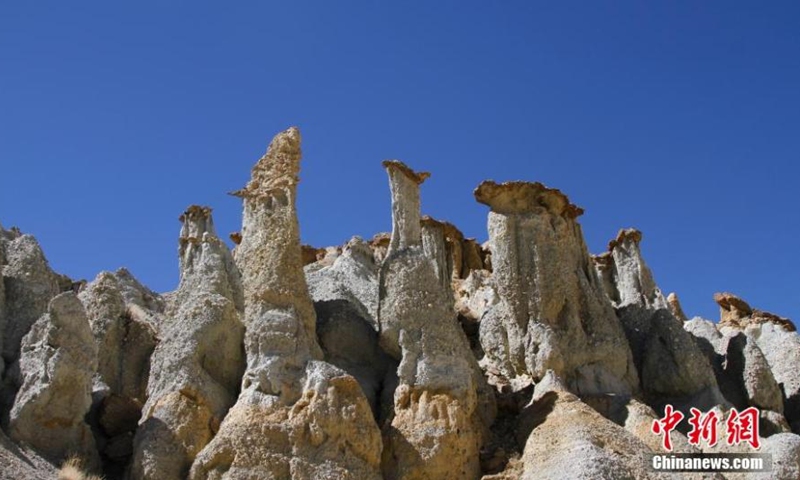 Scenery of Earth Forest Geopark in Tibet - Global Times
