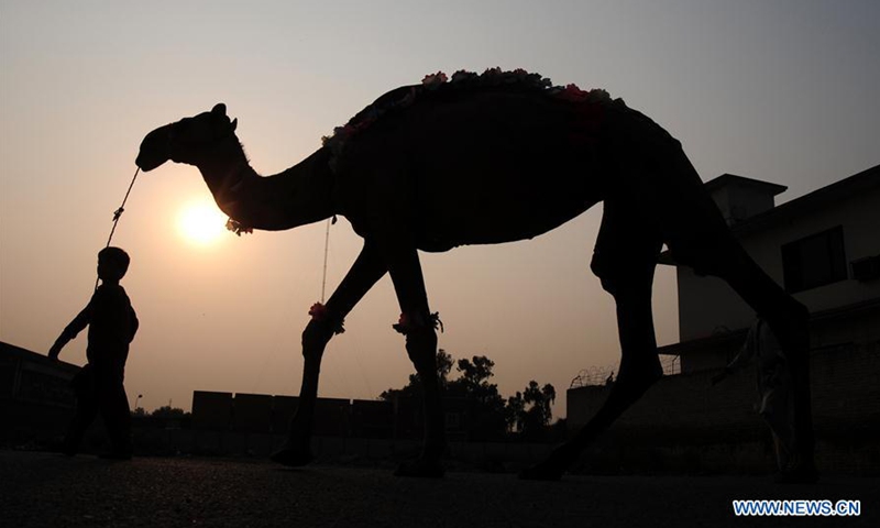 Muslims in Pakistan prepare to celebrate Eid al-Adha - Global Times