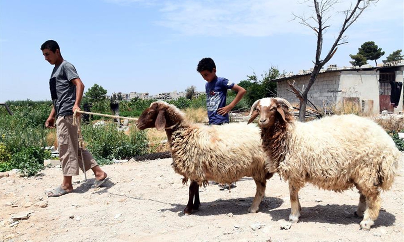 Daily life in Damascus - Global Times