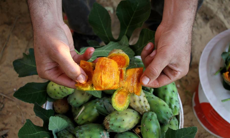 Exchange of fire across Gaza border after tunnel into Israel discovered ...