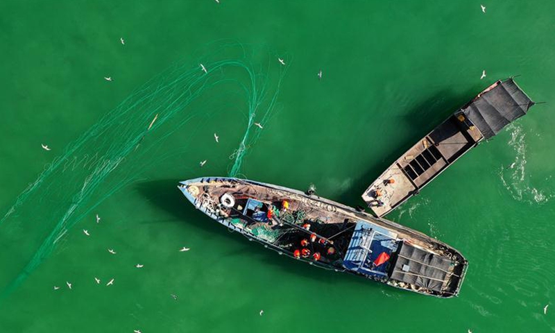 Fishing in Bostan Lake, China's Xinjiang - Global Times