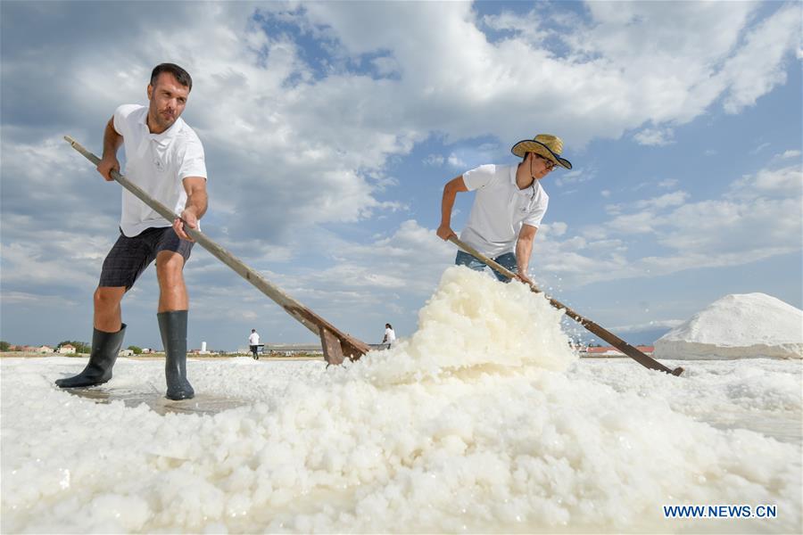 Workers harvest sea salt in Nin, Croatia - Global Times