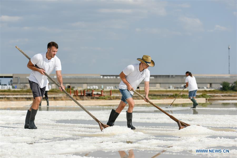 Workers harvest sea salt in Nin, Croatia - Global Times
