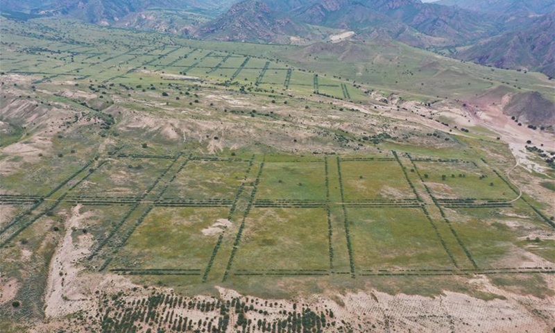 Progress made in desertification control work in China's Inner Mongolia ...