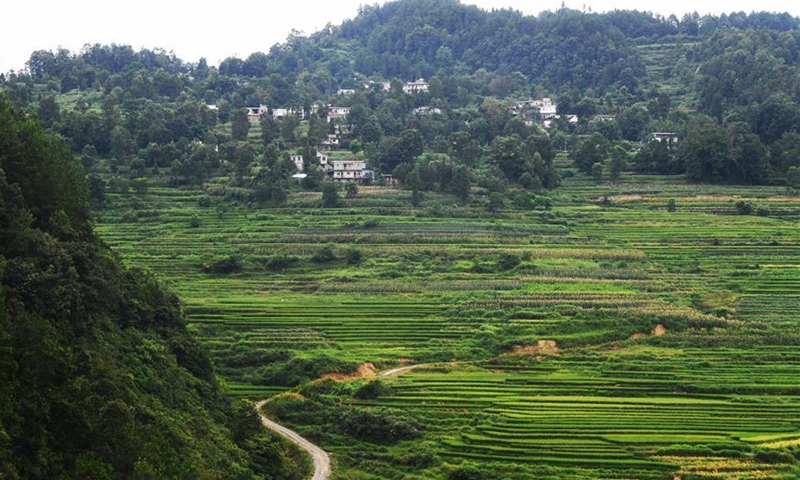 In pics: colorful landscapes across China - Global Times