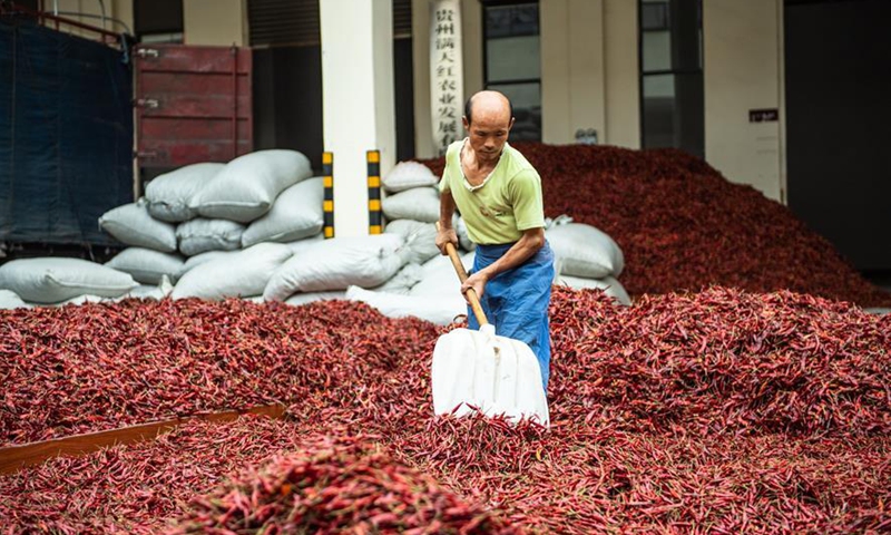 Chili industry helps farmers shake off poverty in Guizhou's mountainous ...