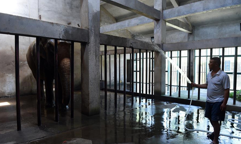 Hefei Wildlife Park takes measures to help animals fend off summer heat ...