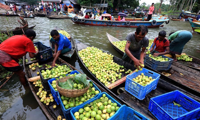 In pics: floating guava market in Barisal, Bangladesh - Global Times