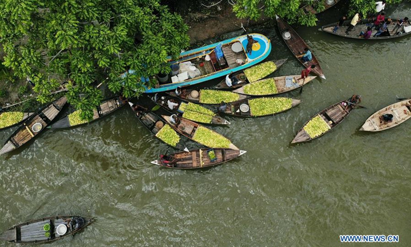 In pics: floating guava market in Barisal, Bangladesh - Global Times