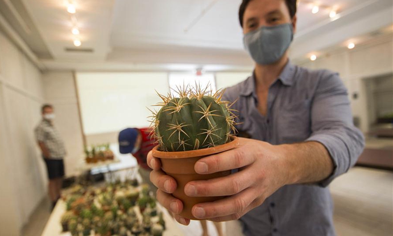 Best Cactus and Succulent Sale of 2020 held in Toronto - Global Times