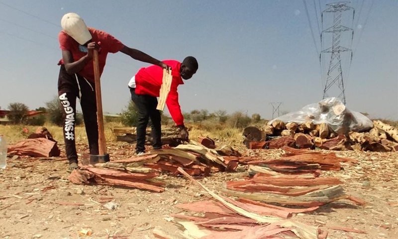 People's daily life in Namibia - Global Times