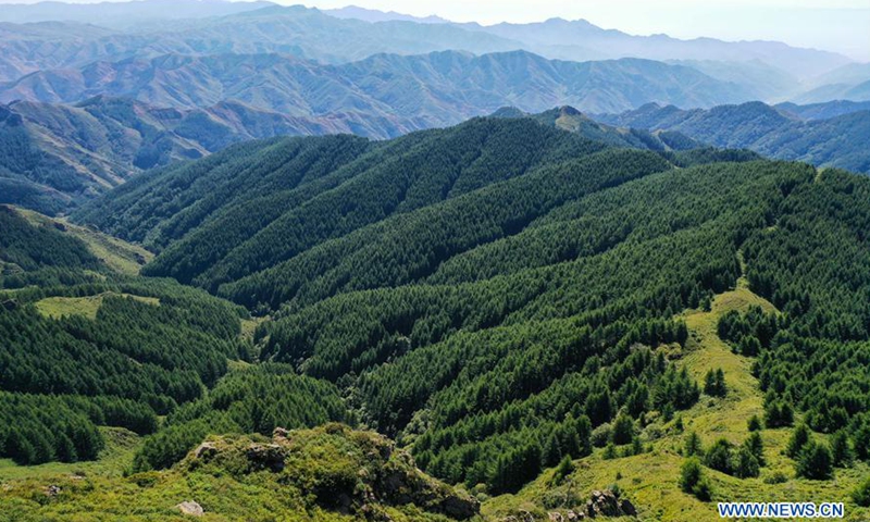 View of Sumu Mountain forest park in Inner Mongolia - Global Times