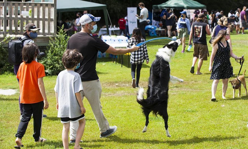 2020 Party 4 Paws event held in park in Toronto, Canada - Global Times