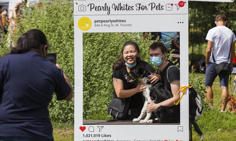 2020 Party 4 Paws event held in park in Toronto, Canada - Global Times