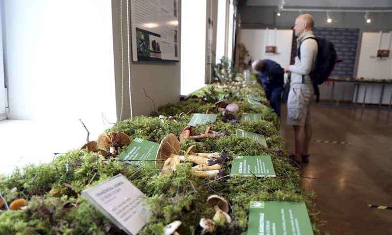 People visit "Mushroom 2020" exhibition at Latvian Museum of Natural ...