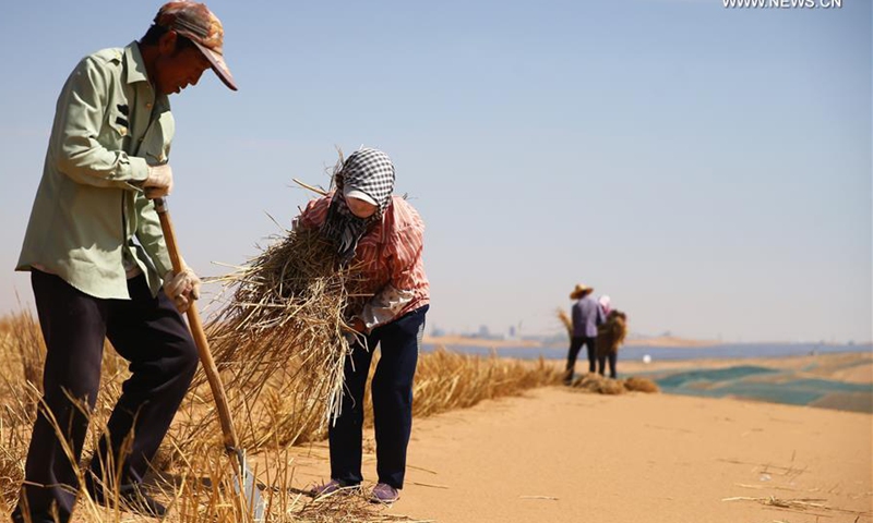 Desertification control team works along first desert highway in ...