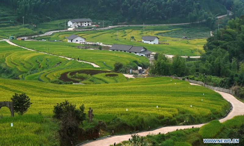 Scenery of terraced fields in Shangbao Township, east China - Global Times