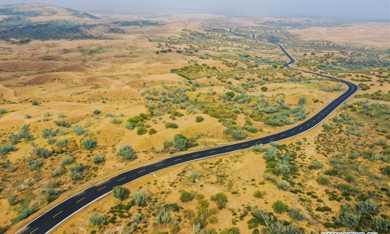 Kubuqi Desert in N China's Inner Mongolia turns green - Global Times