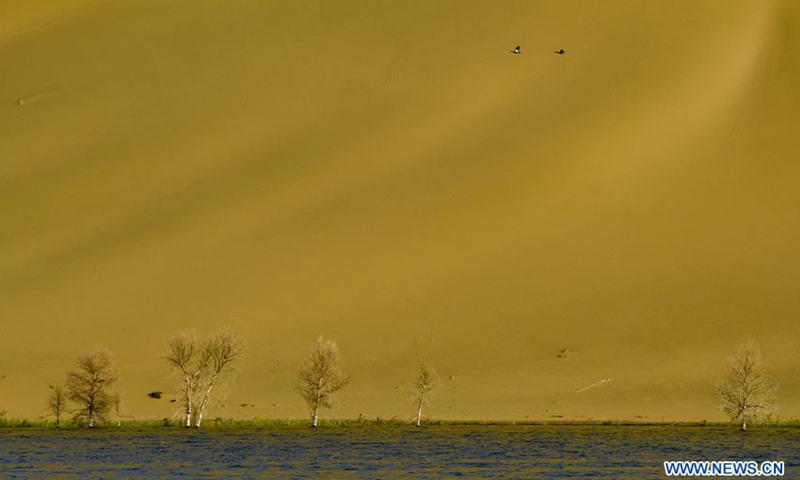 View of Lop Lake in Xinjiang - Global Times