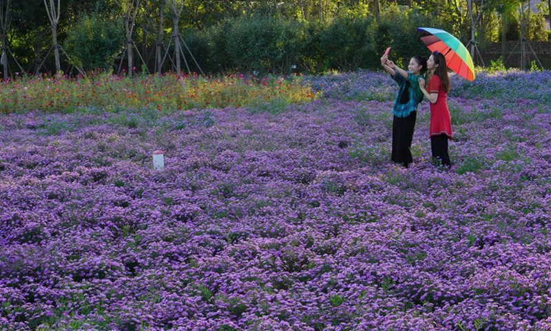 Scenery at Donghu area in Tangshan, China's Hebei - Global Times