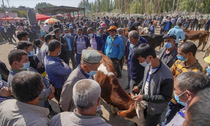 Cattle and sheep bazaar held in Shufu, NW China - Global Times