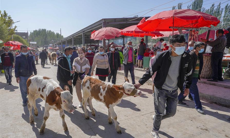 Cattle and sheep bazaar held in Shufu, NW China - Global Times